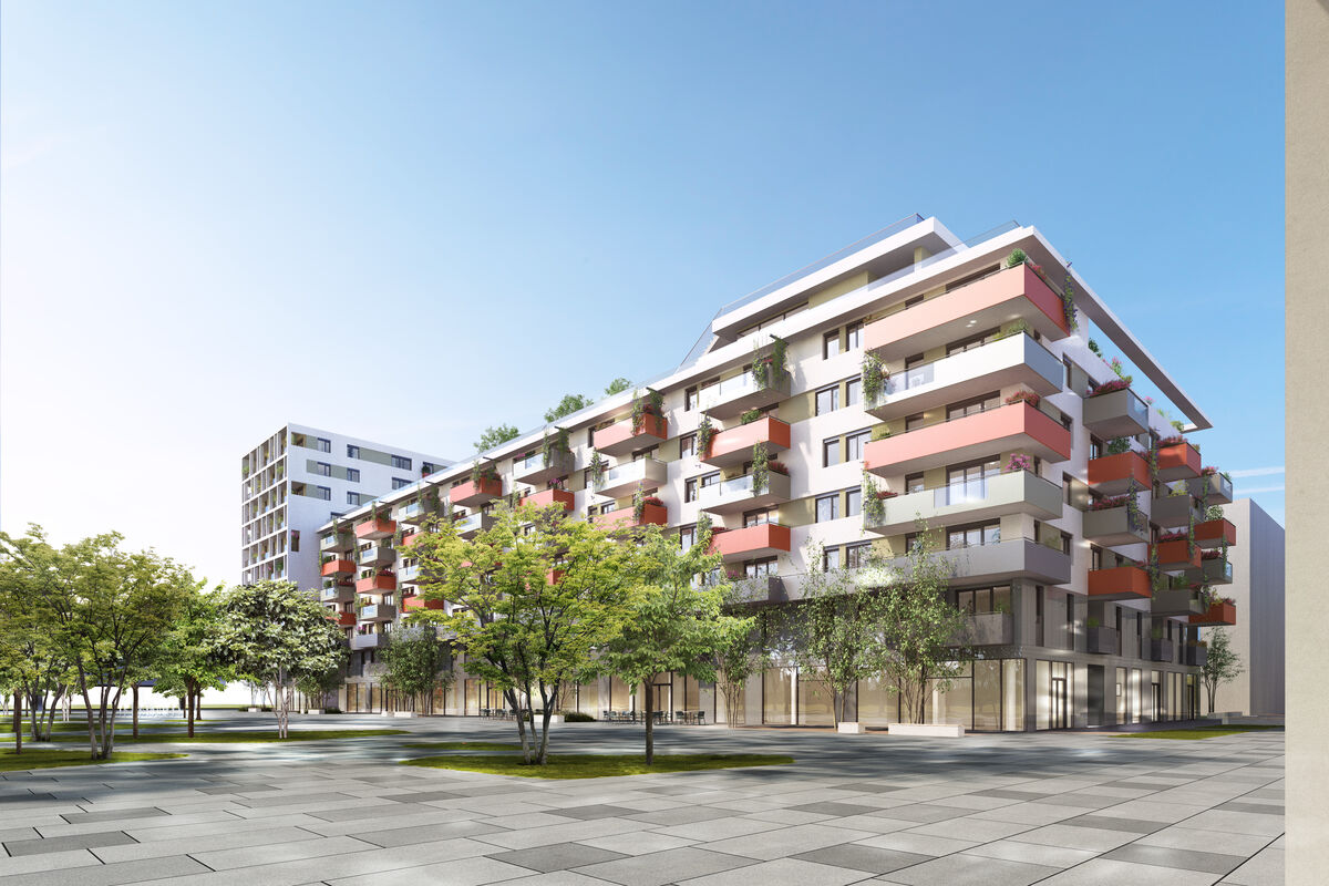 22., Oberes Hausfeld - BPL K1